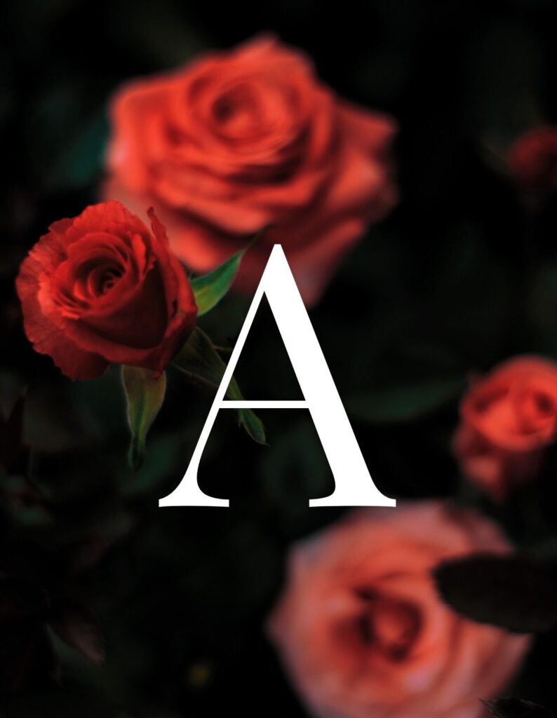 صور حرف a في قلب وبالورد خلفيات واتس حرف A بدقة عالية